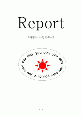 여행사 사업계획서 ( 브랜드명 : 실버오션크루즈 )-1페이지