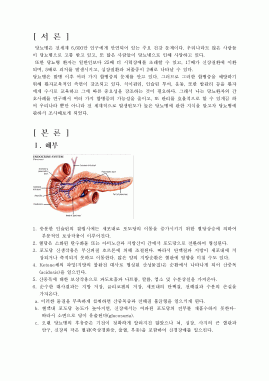 당뇨병에 관해서-1페이지