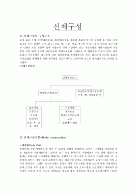 신체구성-1페이지