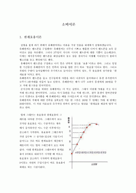 [인문과학] 소비이론-1페이지