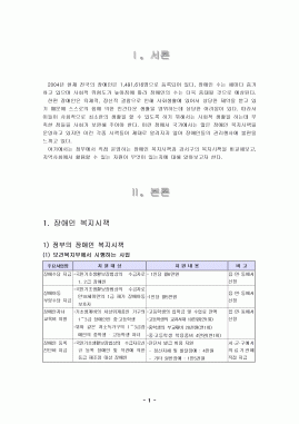 정부의 장애인 복지 시책 분석과 지방자치단체에서의 복지 사업 분석 및 우리의 견해-1페이지