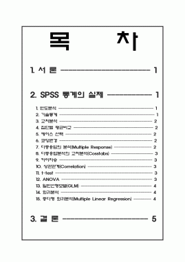 SPSS(통계패키지 프로그램)통계의 실제-1페이지