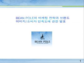 [소비자행동론]BEANPOLE 마케팅전략과 소비자행동조사-1페이지