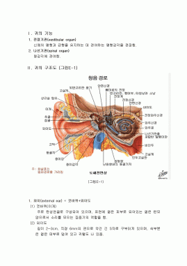 귀의 해부구조와 생기는 질환, 수술방법-1페이지