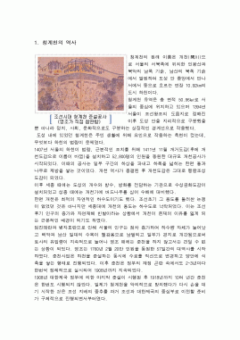 청계천의 역사와 문제점 및 나의생각-1페이지