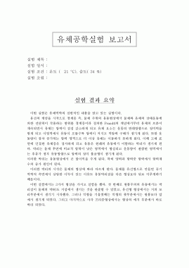 [공학/컴퓨터/통신] 유동가시화실험-1페이지