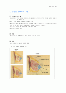 수유기의 영양-1페이지