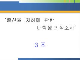 저출산 (출산율저하) 에 관한 대학생 의식 설문조사-1페이지