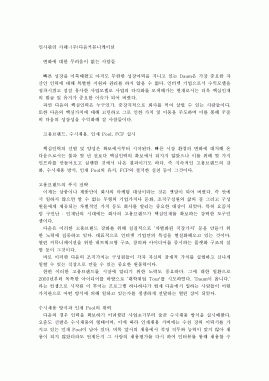 다음-daum(인사관리사례)-1페이지