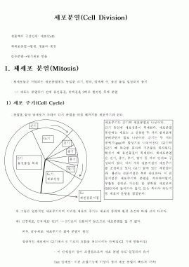 세포분열(cell division)-1페이지