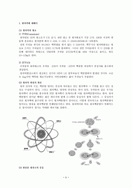 원자력과 환경-1페이지