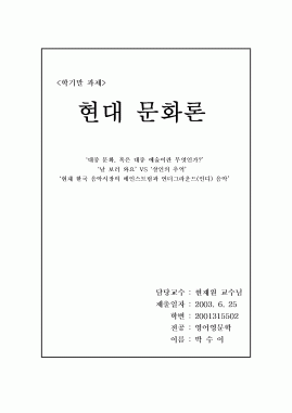 한국의 대중문화와 대중매체의 흐름에 관하여-1페이지