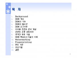 디지털컨텐츠 핵심기술 DRM (Digital Rights Management)-1페이지