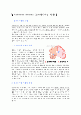 알즈하미머성 치매 간호-1페이지