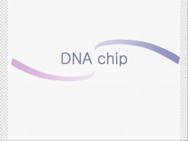 DNA chip-1페이지