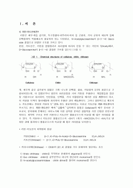 키틴을 이용한 크로마토 그래피 실험 레포트-1페이지