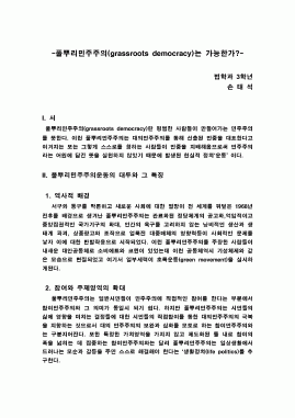 [사회과학] 풀뿌리민주주의-1페이지