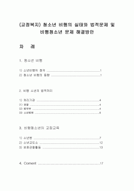 (교정복지) 청소년 비행의 실태와 법적문제 및 비행청소년 문제 해결방안-1페이지