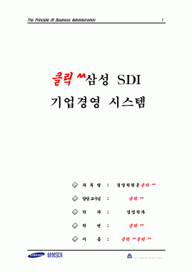 삼성 SDI 기업경영 시스템 연구 보고서-1페이지