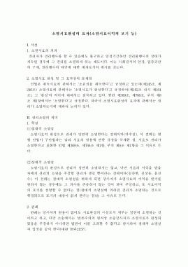 [민법총칙]소멸시효완성의 효과(소멸시효이익의 포기 등)-1페이지