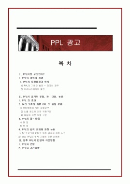 PPL 광고 분석-1페이지