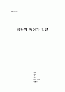 집단의 형성과 발달-1페이지