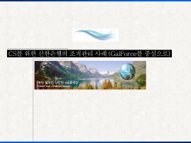 CS를 위한 신한은행의 조직관리 사례 (GalForce를 중심으로)-1페이지