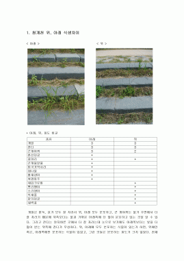 청계천 식생조사-1페이지