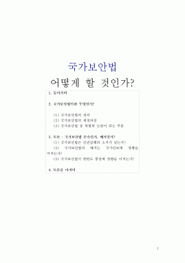 [국가보안법]국가보안법 존속이냐 폐지냐-1페이지