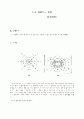 등전위선 측정 등전위면 전위차 전기력선 원형 고정 전극 막대 고정 전극 속이 찬 원통-1페이지