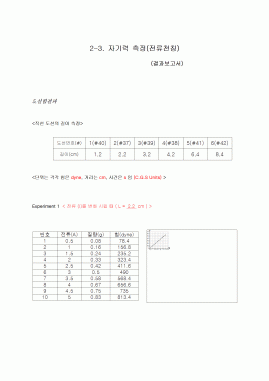 자기력 측정(전류 천칭)-1페이지