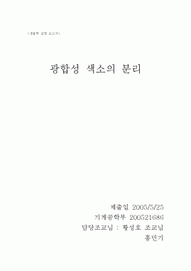 광합성 색소의 분리 레포트-1페이지