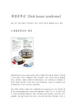 [건축,환경]새집증후군(Sick house syndrome) 발표자료-1페이지