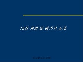 프로그램의 개발 및 평가 실제-1페이지