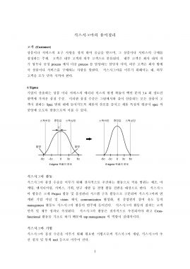 식스 시그마 용어 해설집-1페이지