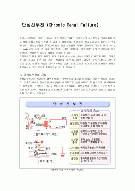 만성 신부전  및 환자 관리-1페이지