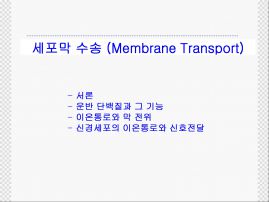 세포막 수송 (Membrane Transport)-1페이지