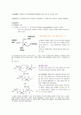 단백질의 전기영동(SDS-PAGE)에 의한 분리 및 분자량 측정.-1페이지