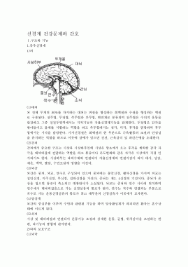 신경계 건강문제와 간호-1페이지