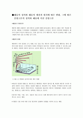 해류의 정의와 해류의 계절과 위치에 따른 변화. 그에 따른 플랑크톤의 정의와 해류에 미친 플랑크톤-1페이지