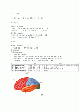 신경계의 분류와 기능-1페이지