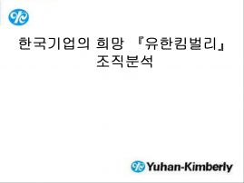 한국기업의 희망 『유한킴벌리』조직분석-1페이지