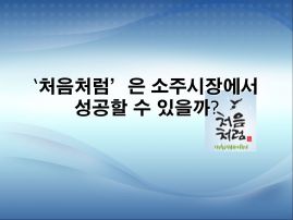 소주 처음처럼 - 성공을 위한 마케팅 전략-1페이지