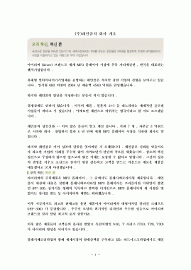 레인콤 회사를 살펴보며-1페이지