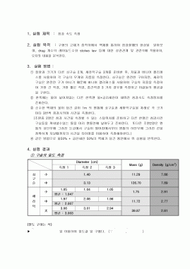 침강 속도 측정 결과보고서-1페이지