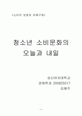 청소년 소비문화 문제점 개선 및 실천강령-1페이지