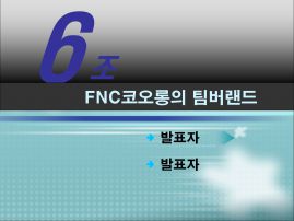 fnc 코오롱팀버랜드의 실패원인과 경쟁사분석,향후대책-1페이지