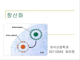 항산화기능을 가진 기능성식품-1페이지