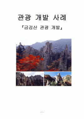 관광 개발 사례『금강산 관광 개발』-1페이지