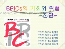 BRICs의 국가별 특징 기회와 위협-1페이지